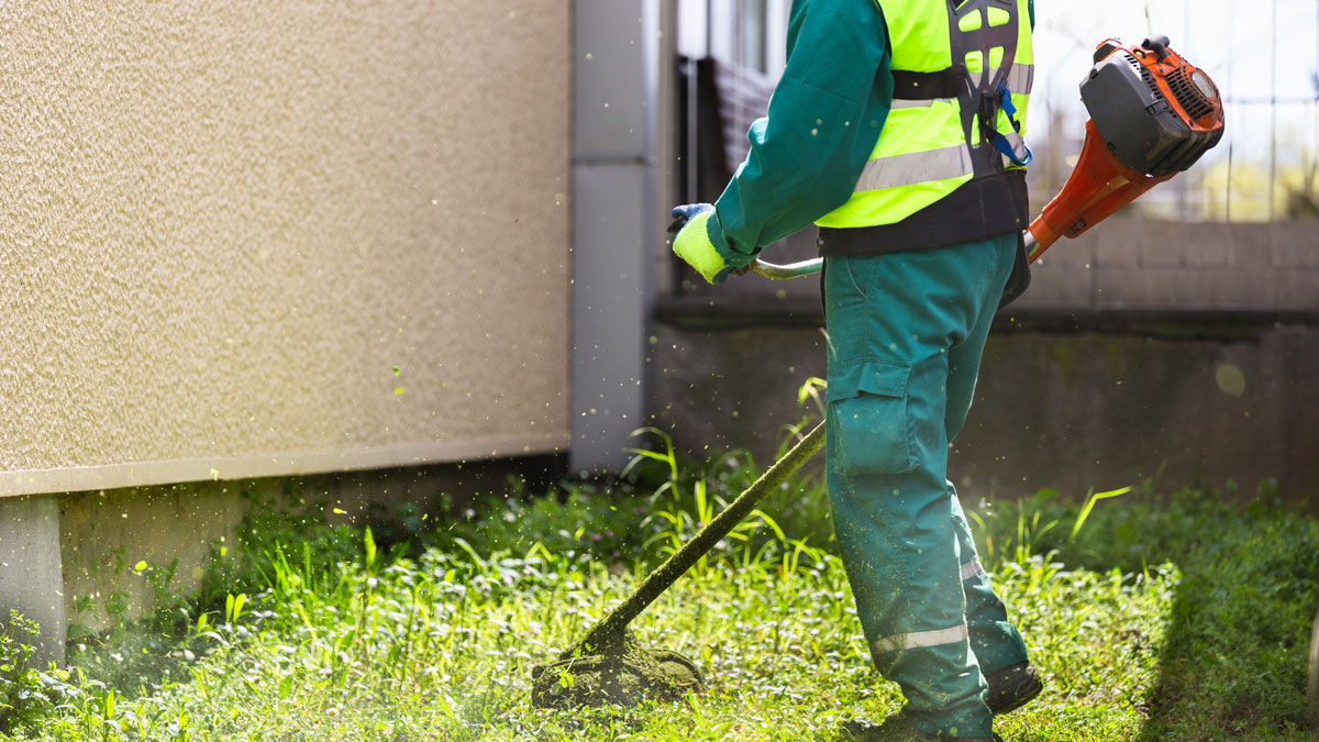 Commercial Lawn Maintenance in Houston, TX - High Maintenance ...